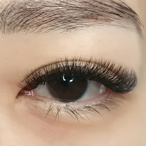 Chic | Popular | Volume 4D Eyelash Extension Styles